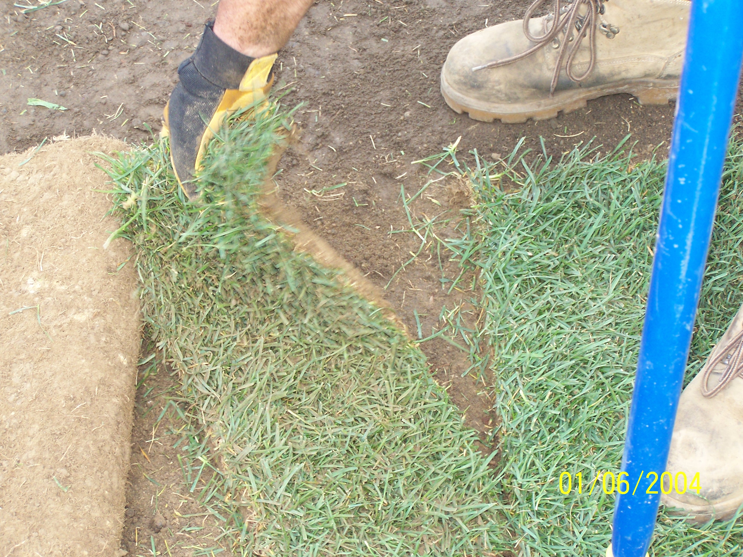 J. Drake Turf Farm - How to Install Sod - DIY